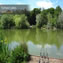 Furnace Lakes Fishery Review